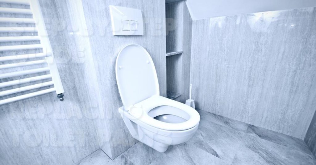 Step-by-Step Guide to Replacing Toilet Parts - NYC Plumbing Pros